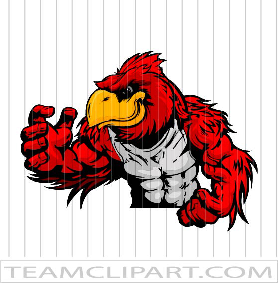 Wrestling Cardinal Bird Clipart - Vector Cardinal Image | Eps Jpg